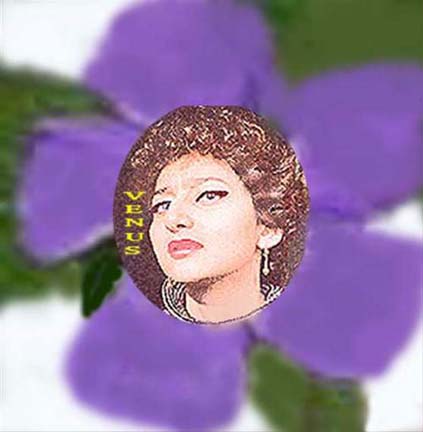 THE IRANIAN: Music, Venus